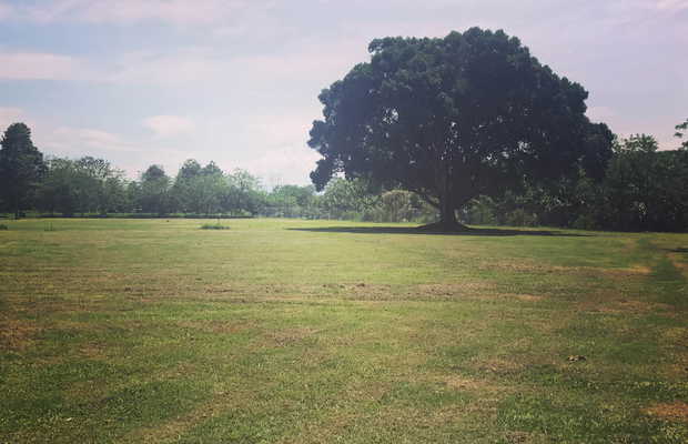 COCONI COLOMBIA centro de eventos la Virginia en Risaralda: 1 opiniones ...