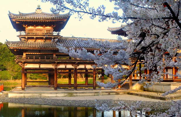 Byōdō-in à Uji: 5 expériences et 44 photos