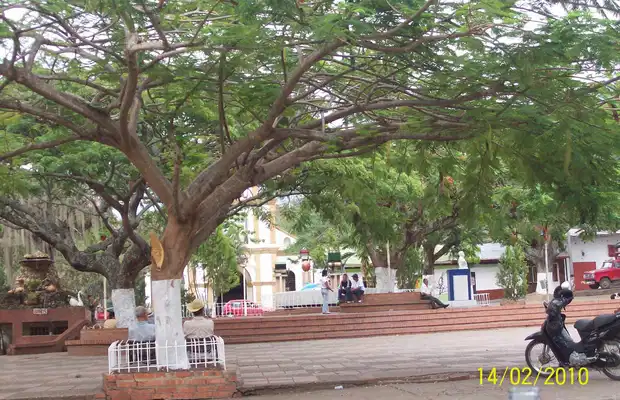 Pandi en Pandi: 1 opiniones y 2 fotos